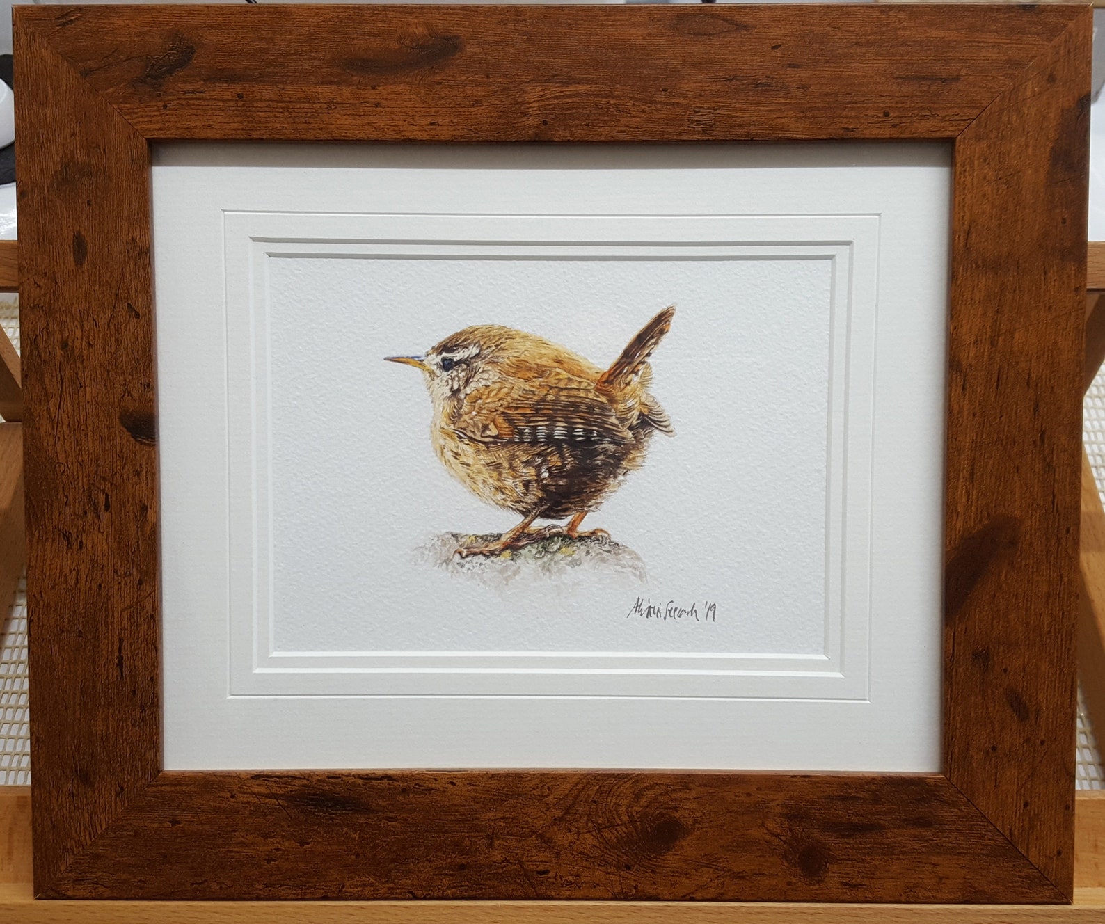 Wren Print, Little Bird in Watercolour, Bird Art Print on Velvet ...
