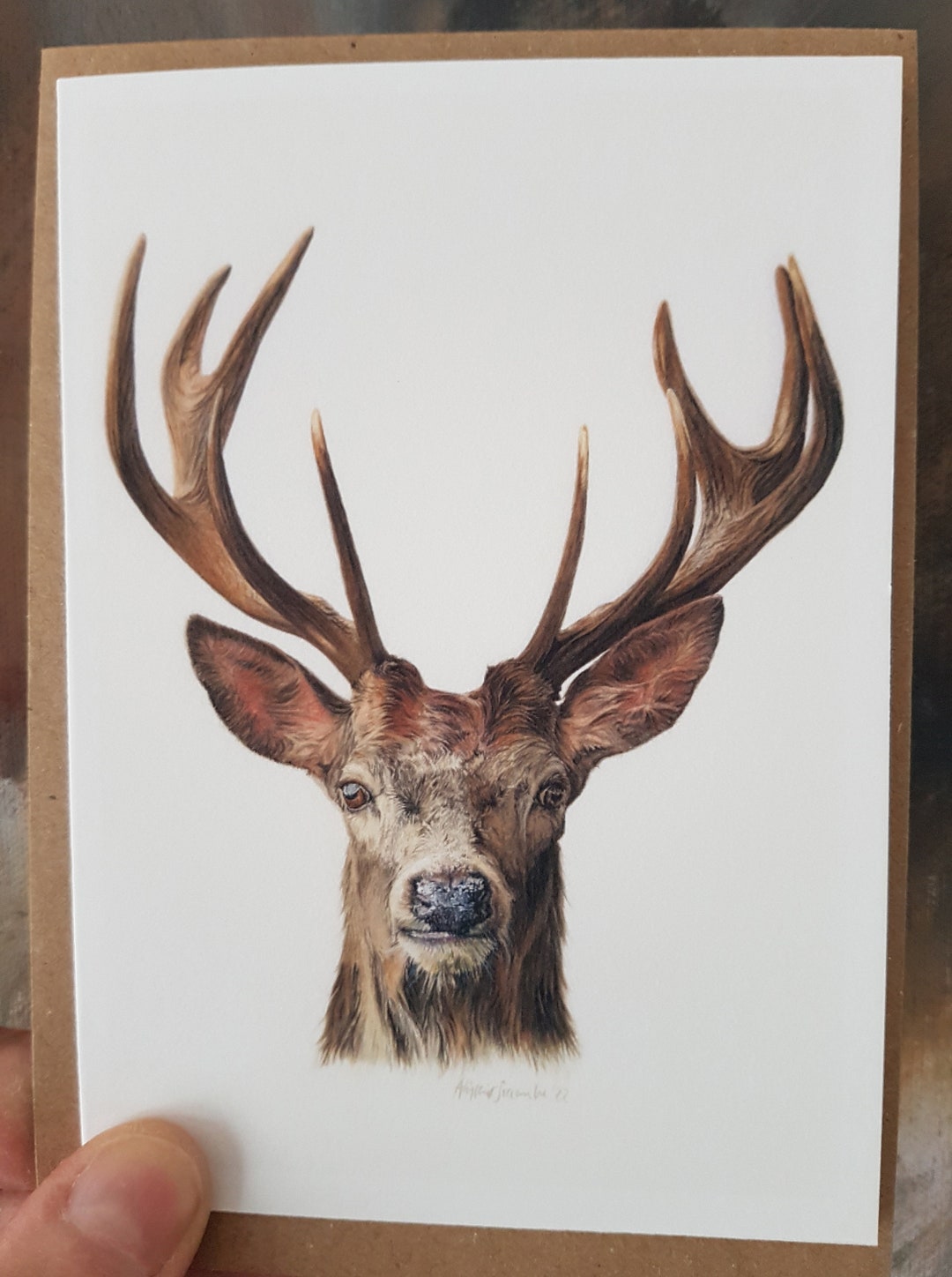 4 Pack of Ten Point Buck Watercolour Print Greeting Cards, Wildlife ...