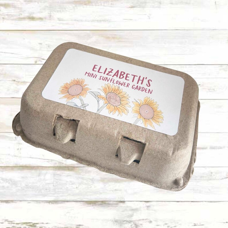 Personalized Mini Sunflower Garden | DIY All-in-one Kit | Activity Box ...