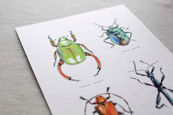 Watercolor Original Watercolor Insect Aquarelle Originale Insecte ...