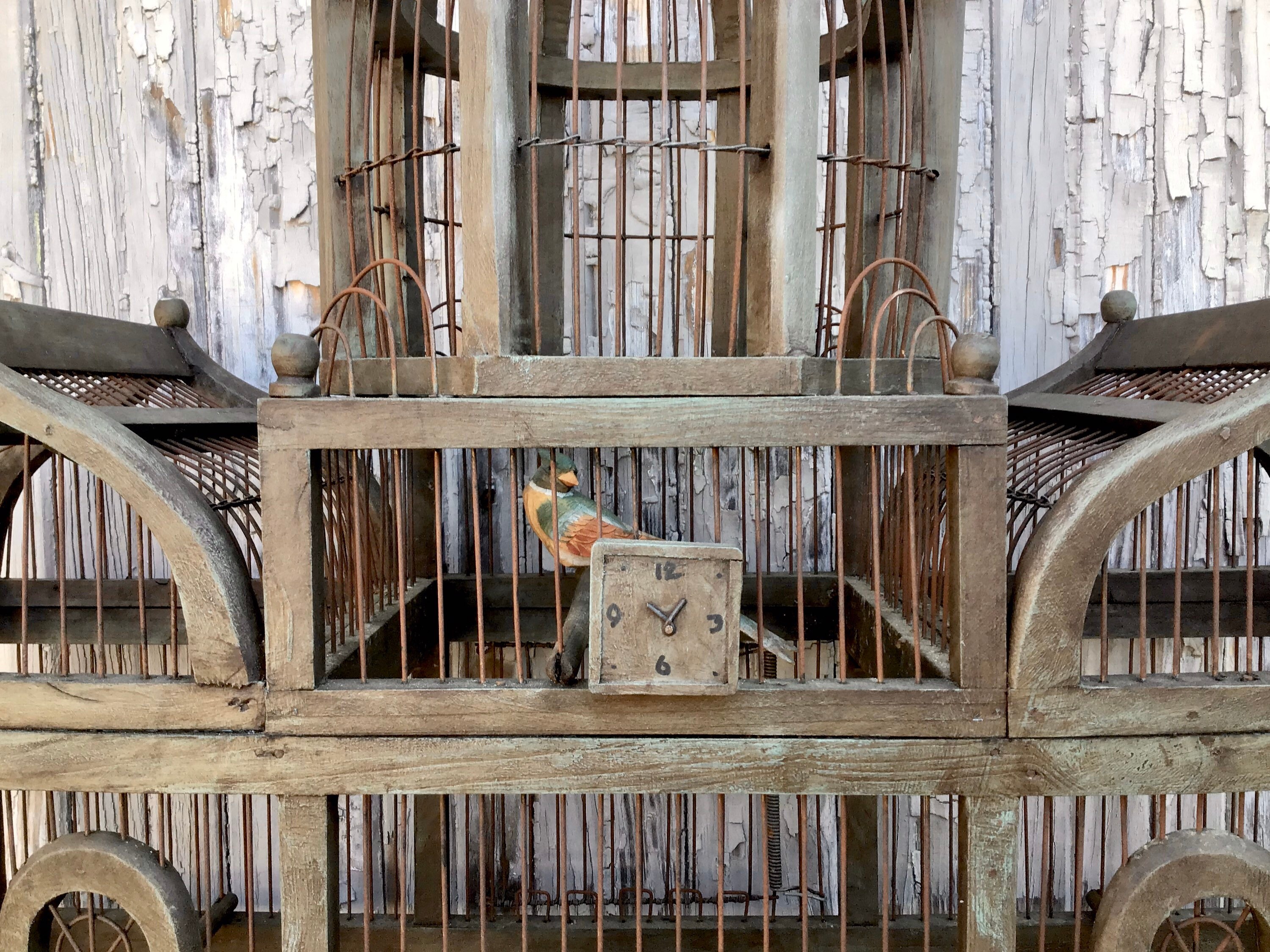 31 Bird Cage Indoor Atrium in Asheville NC - Etsy