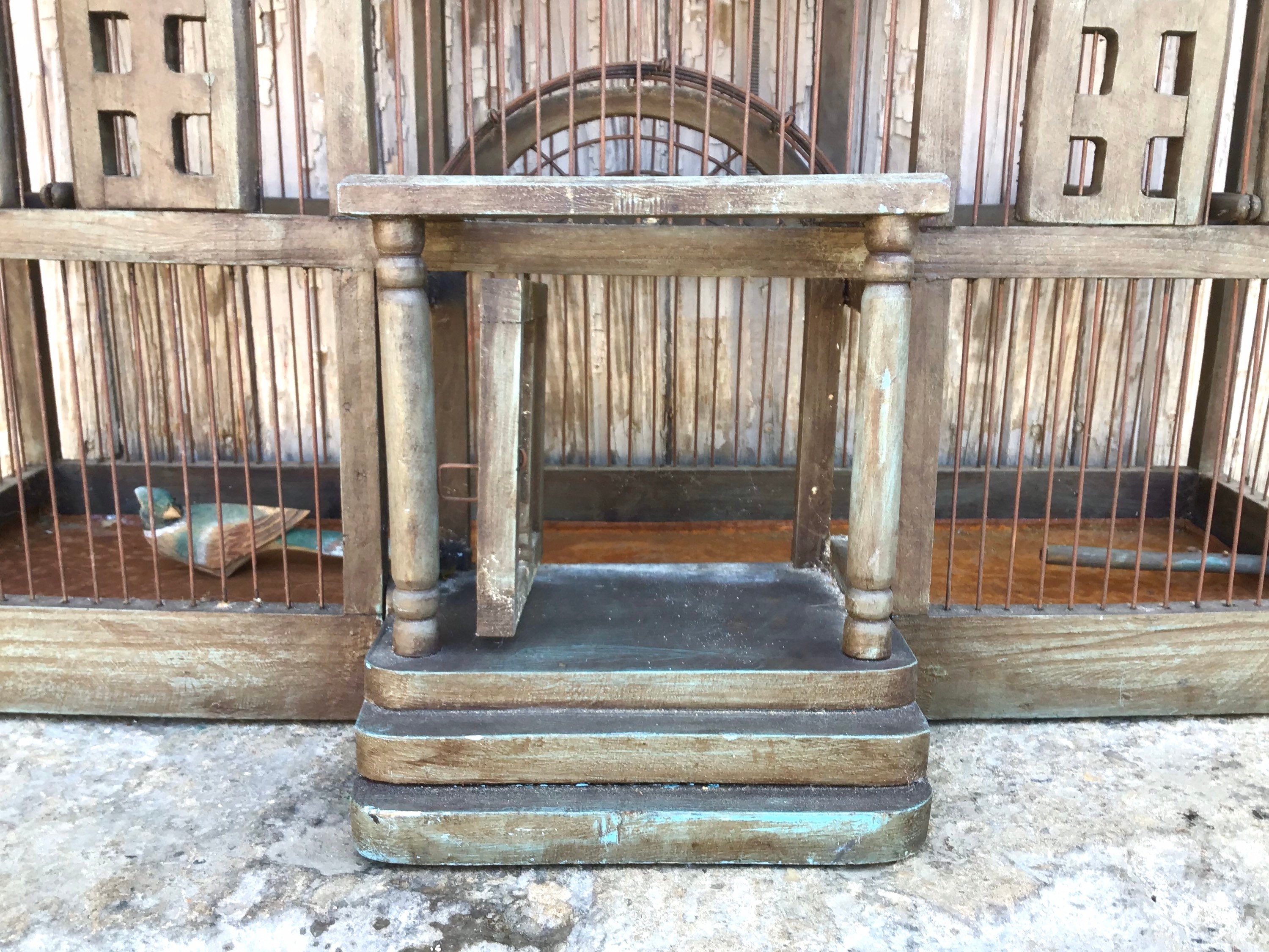 31 Bird Cage Indoor Atrium in Asheville NC - Etsy