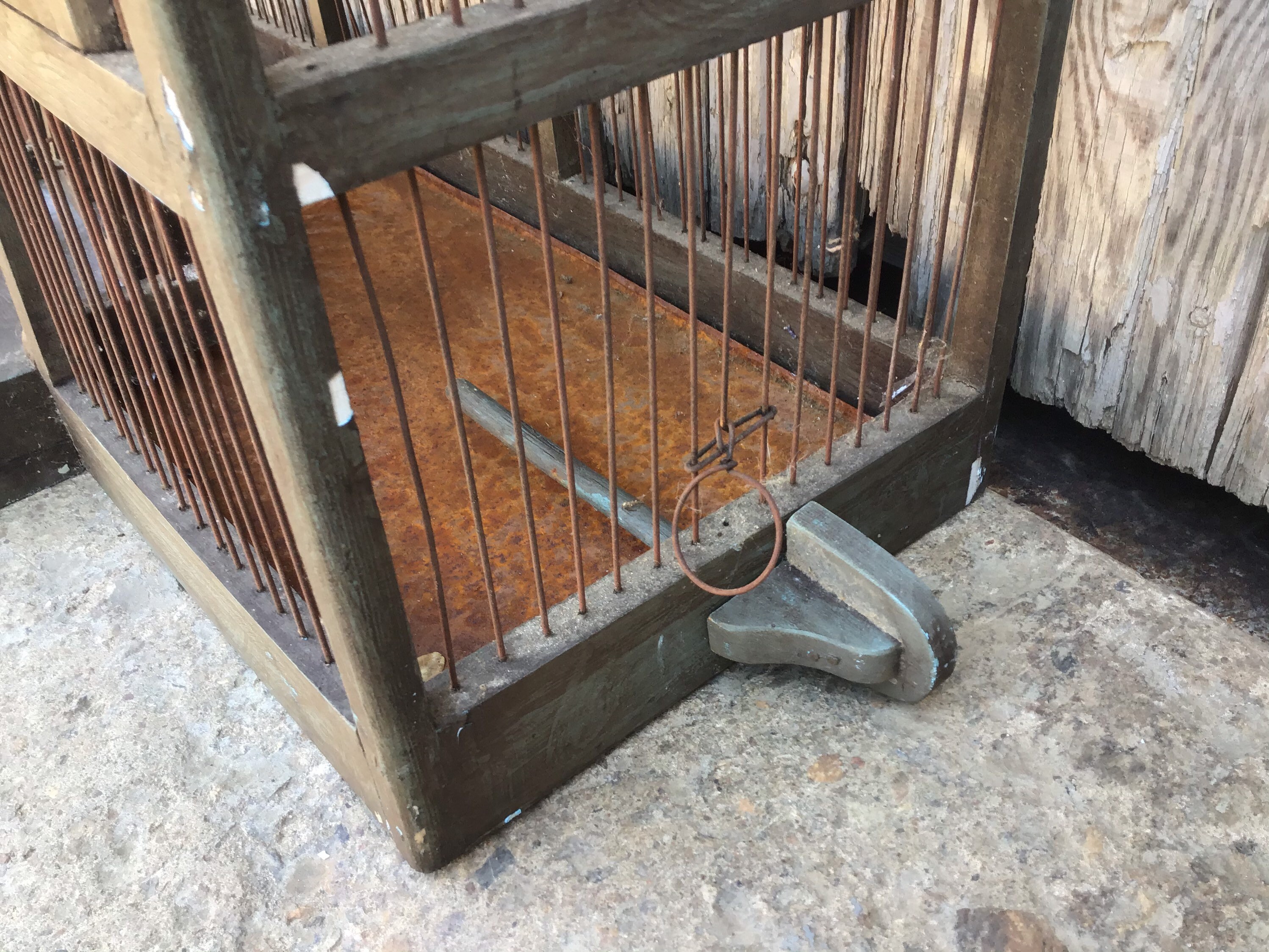 31 Bird Cage Indoor Atrium in Asheville NC - Etsy