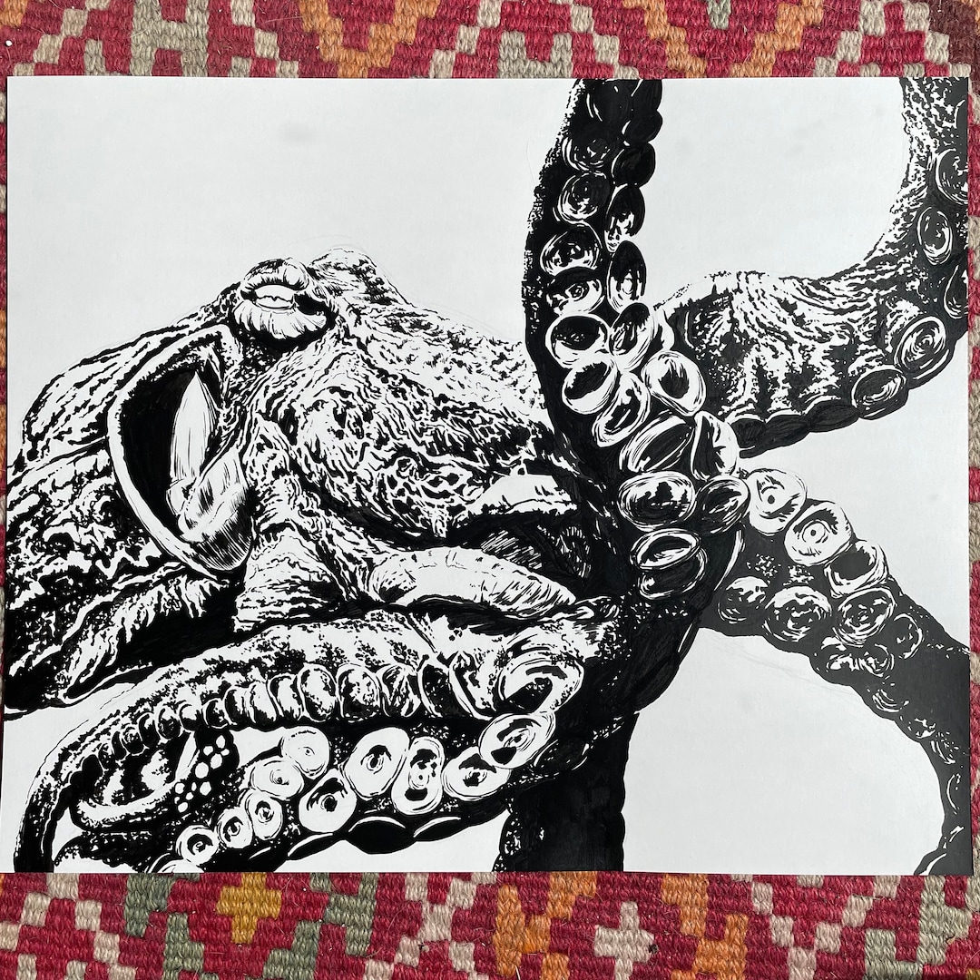 Giant Octopus Ink Drawing, Original Art Ink on Paper, 17"x14" in ...