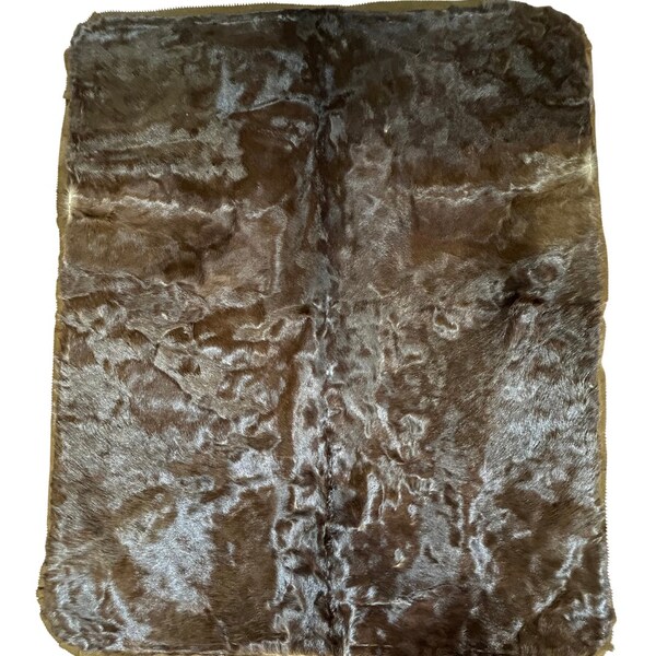 Real Bear Skin Rug - Etsy