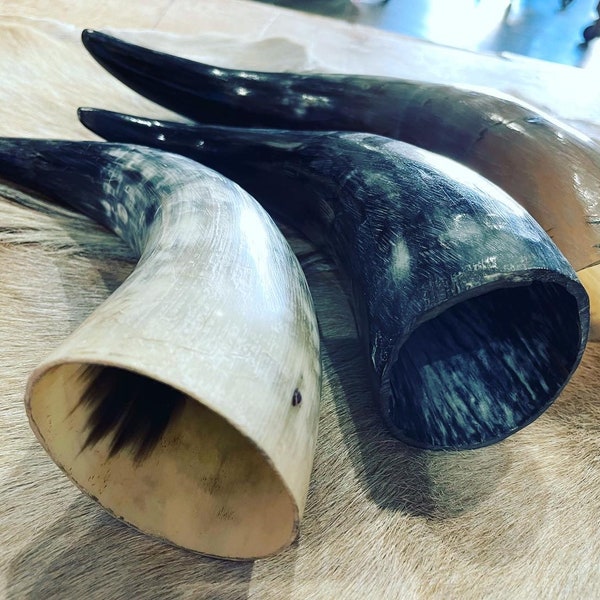 Raw Cow Horns - Etsy