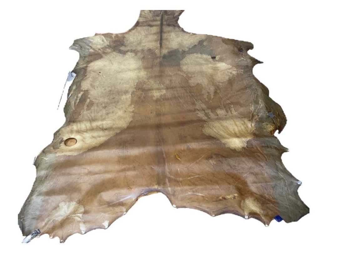 Raw Horse Hide Second Grade - Etsy