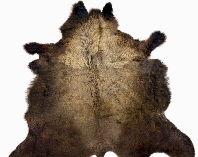 Buffalo / Bison Rug & Hide - First Grade Extra Large - Etsy