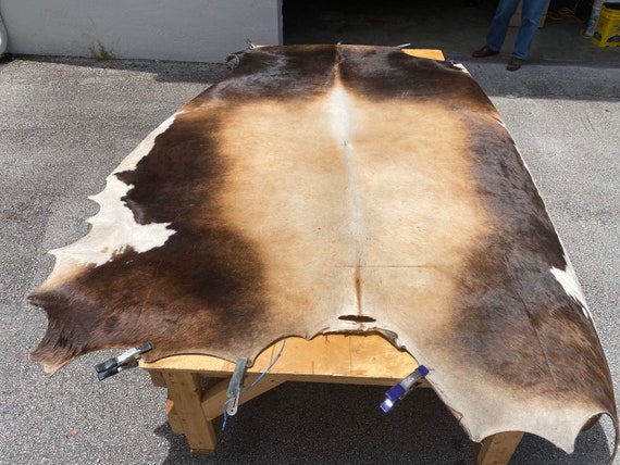 Hair on Cow Rawhide | Etsy