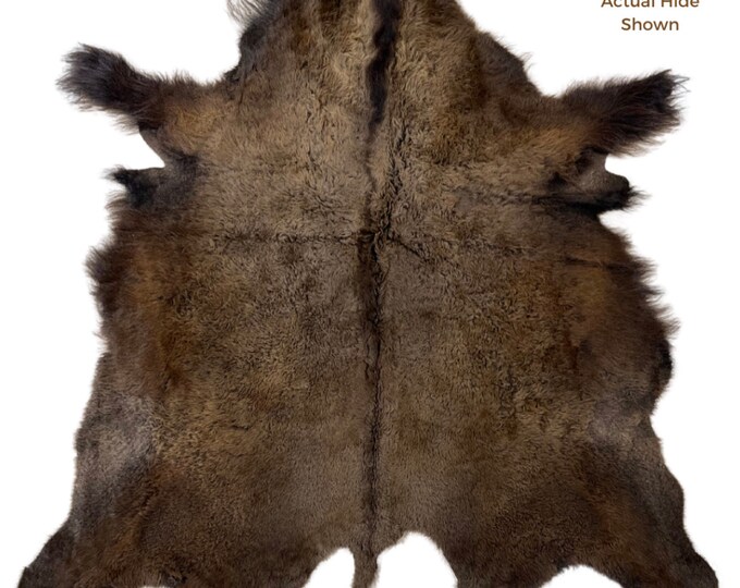 Buffalo / Bison Rug & Hide First Grade LARGE 007 - Etsy