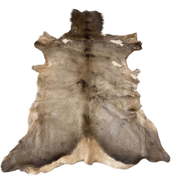 Elk Hide - Etsy