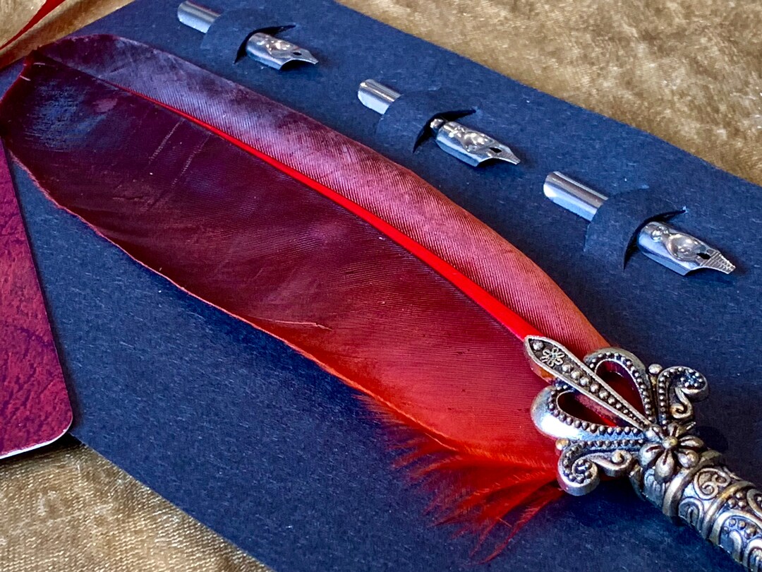Scarlet Feather Fountain Dip Pen: Calligraphy Craft Supply, RPG Dnd ...