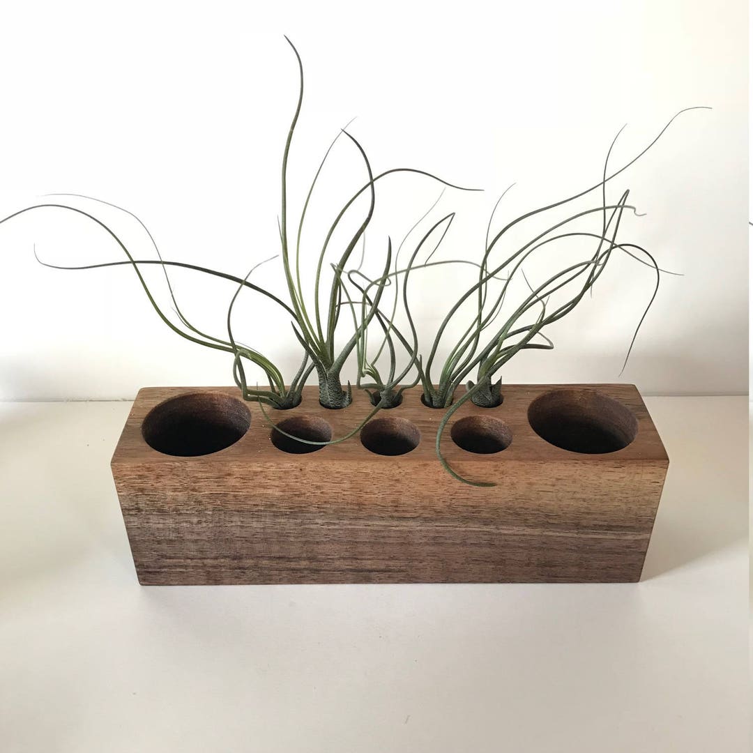 Walnut Desktop Organizer 10-hole - Etsy