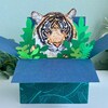 A6 Go Get Em' Tiger Card - Etsy