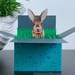 Brown Rabbit Card. Personalised 3D Box Card For Birthday, Easter ...