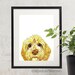 Gold Cockapoo or Labradoodle Dog Art Print From My Watercolour Painting ...