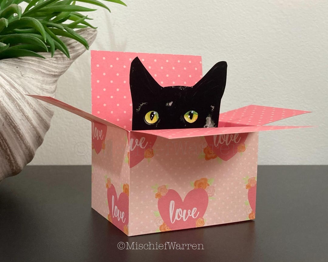 Black Cat Card. the Original Cat in a Box Card. Valentines, Birthday ...