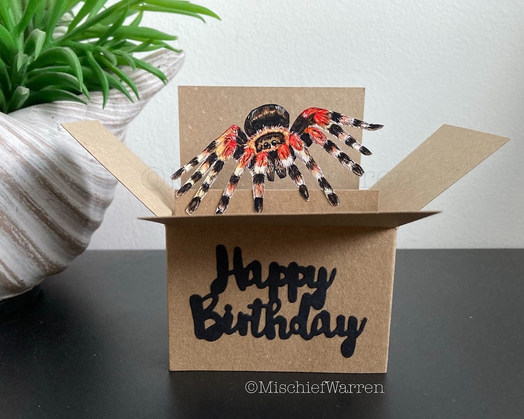 Tarantula Happy Birthday Box Card. Spider Birthday Card. Tarantula ...