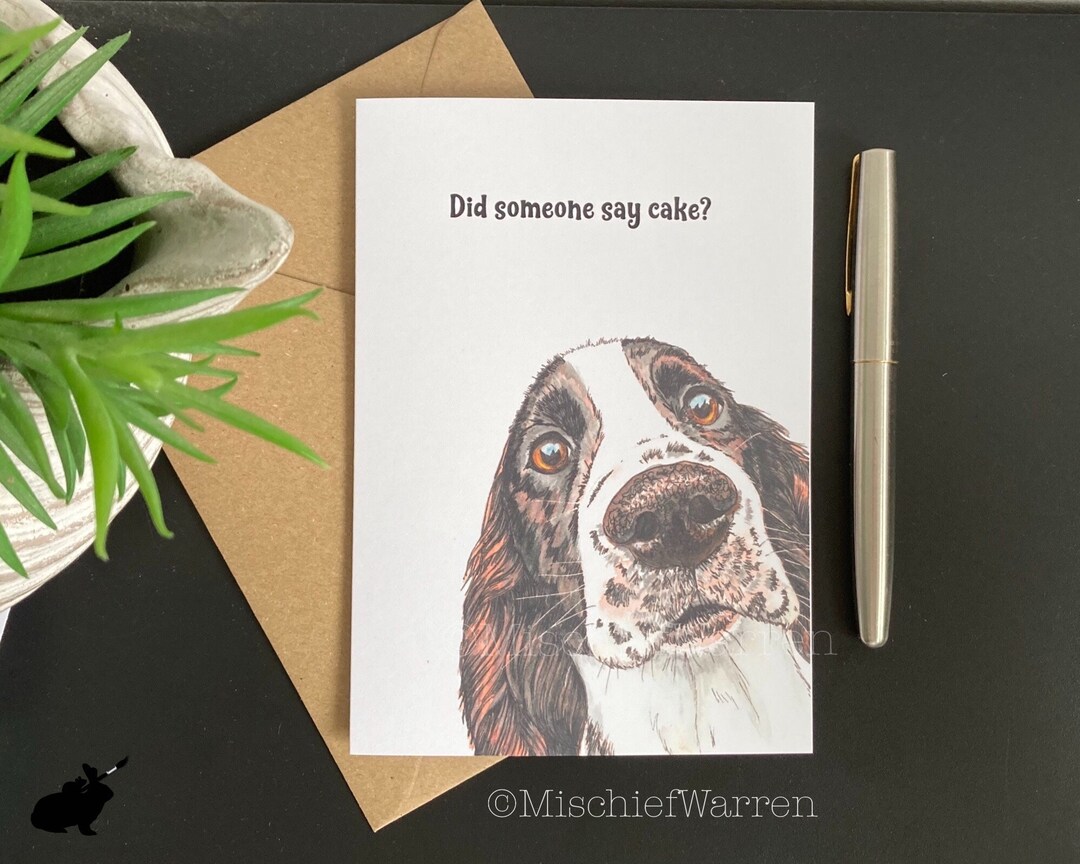 Funny Spaniel Birthday Card: "did Someone Say Cake?" Liver & White ...