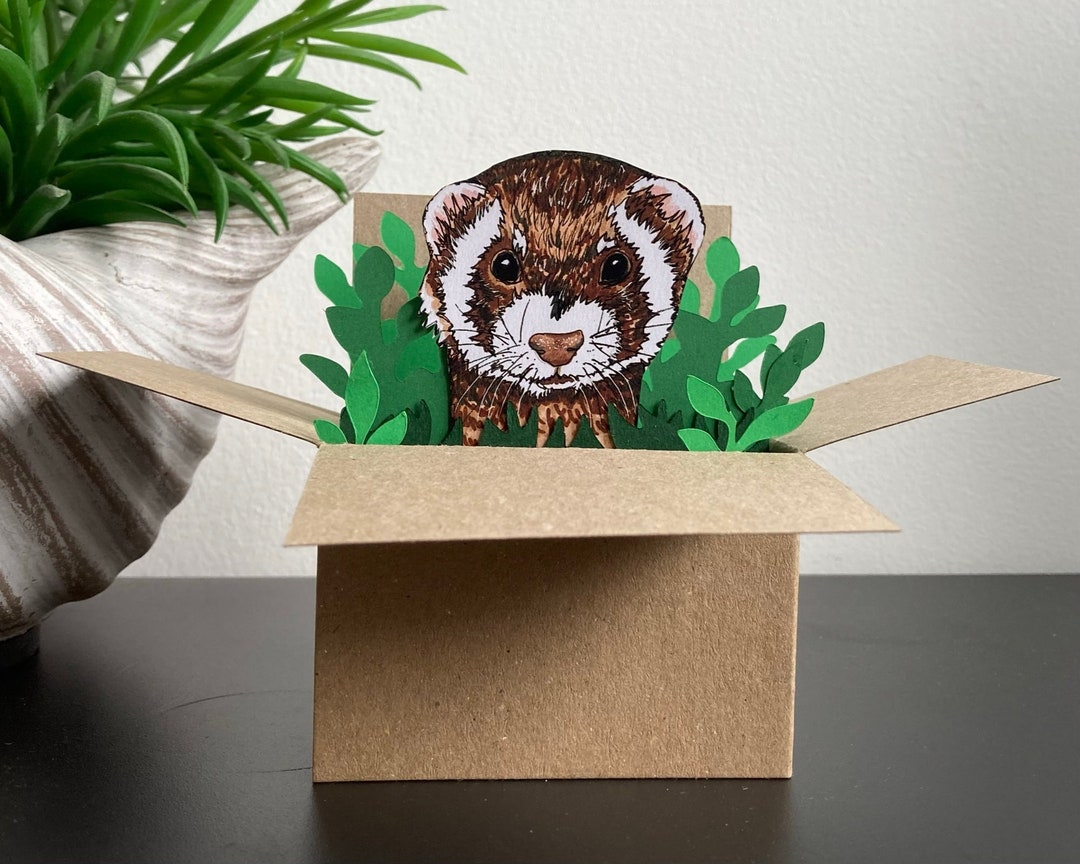 Polecat Ferret Card. Blank or Personalised 3D Ferret Box Card; Birthday ...