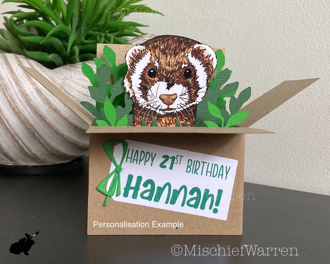 Polecat Ferret 3D Box Card. Blank or Personalised Birthday, Easter ...