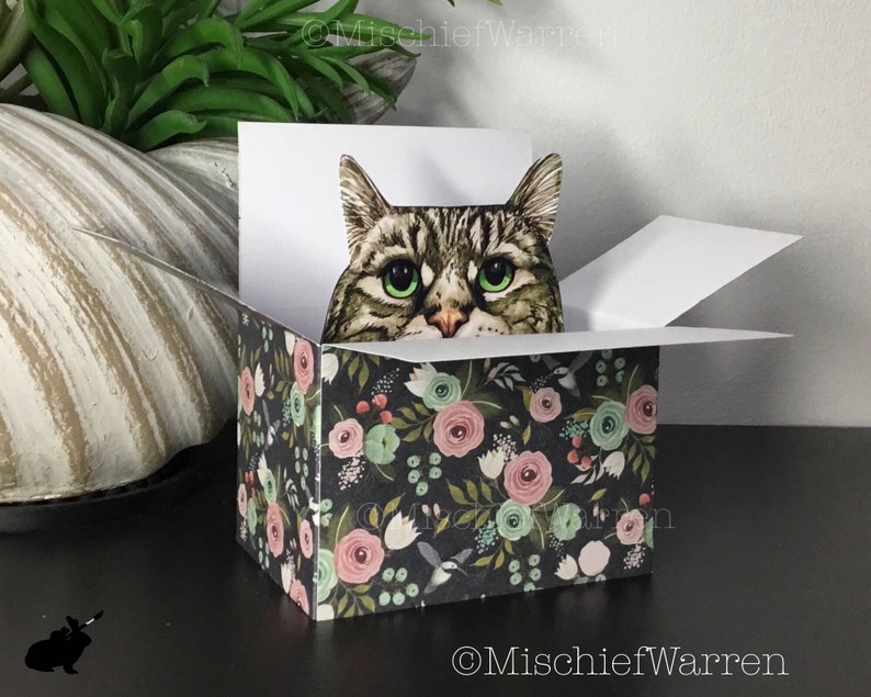 Tabby Cat Card. the Original Cat in a Box Card. Personalised - Etsy