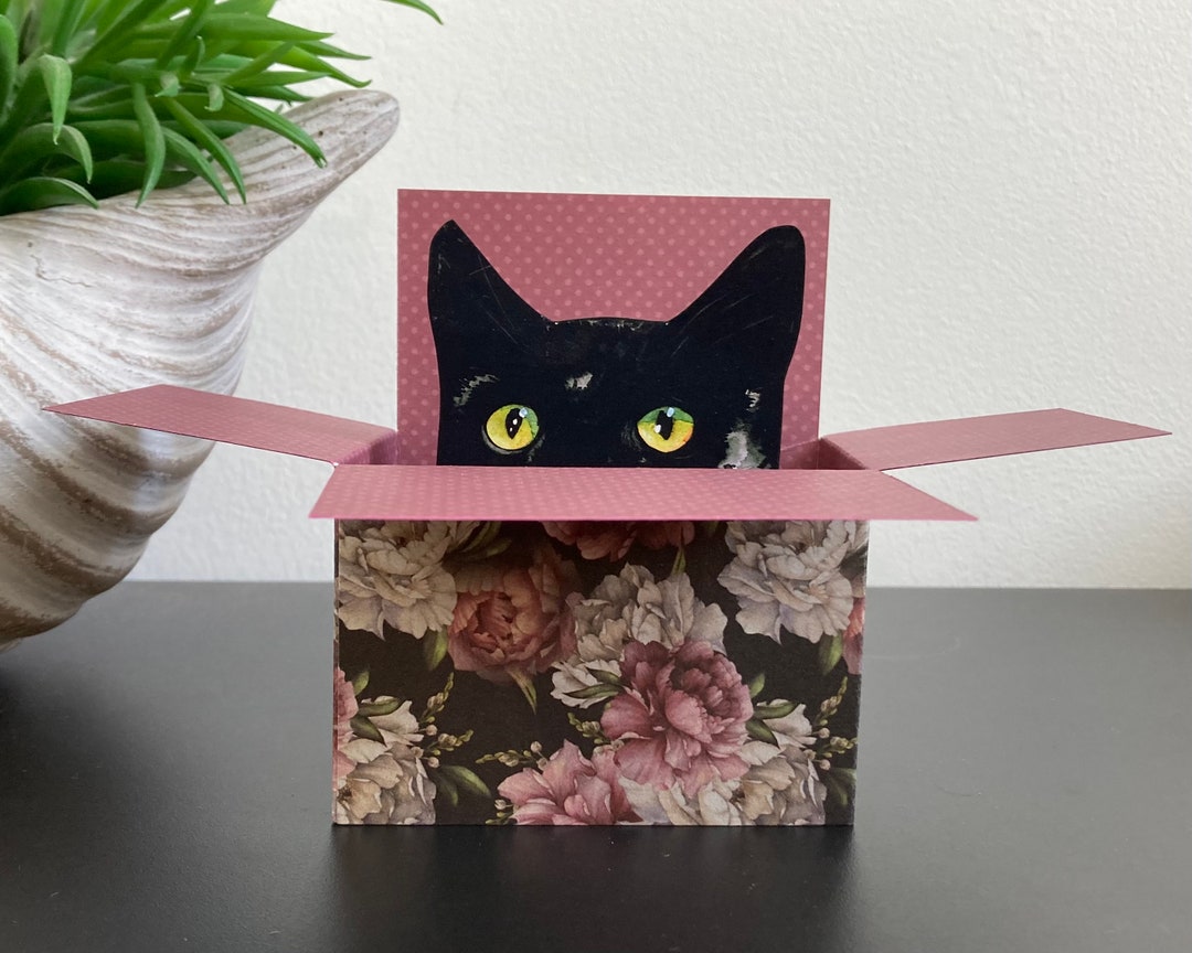 Black Cat Card. the Original Cat in a Box Card. 3D Blank or ...