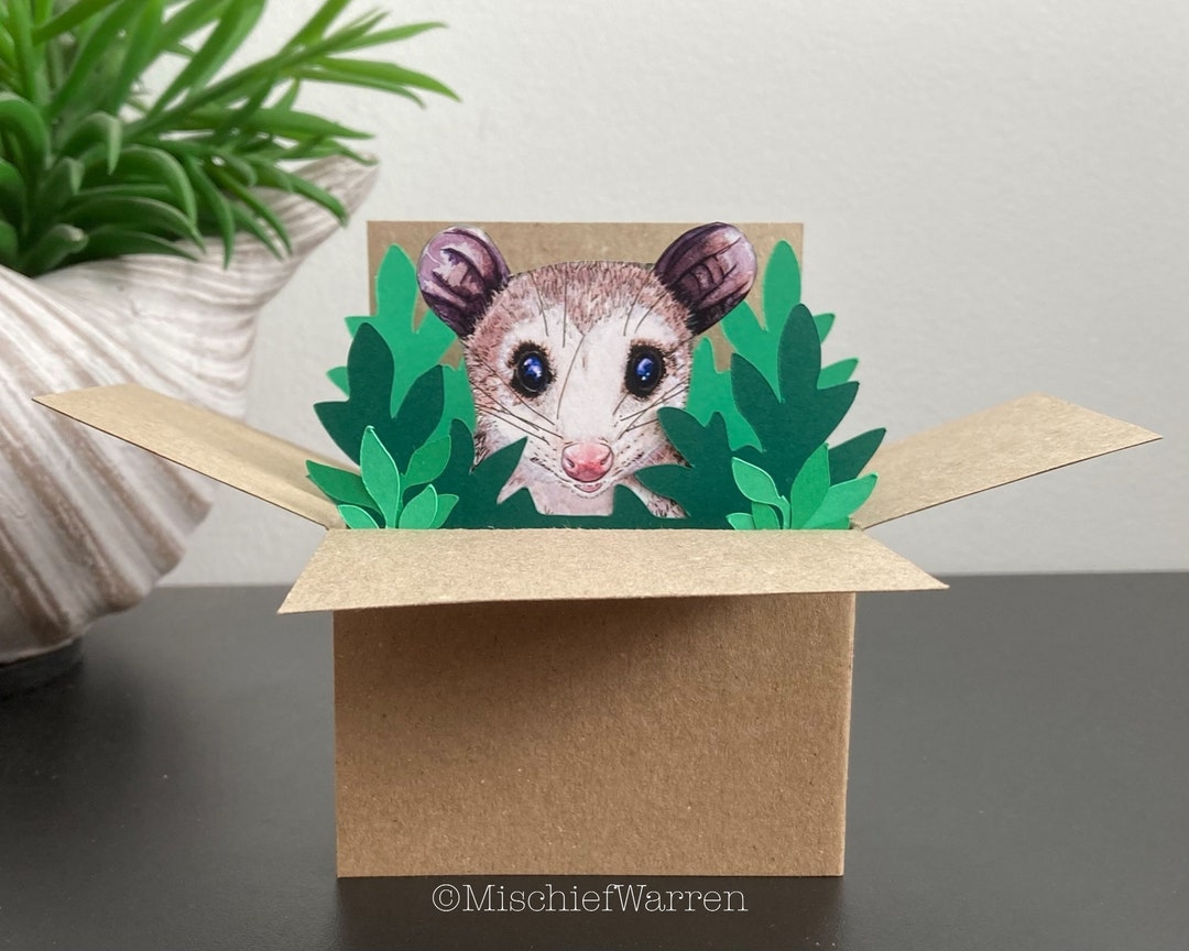 Opossum Birthday Card. Blank or Personalised Possum Card or 3D Birthday ...