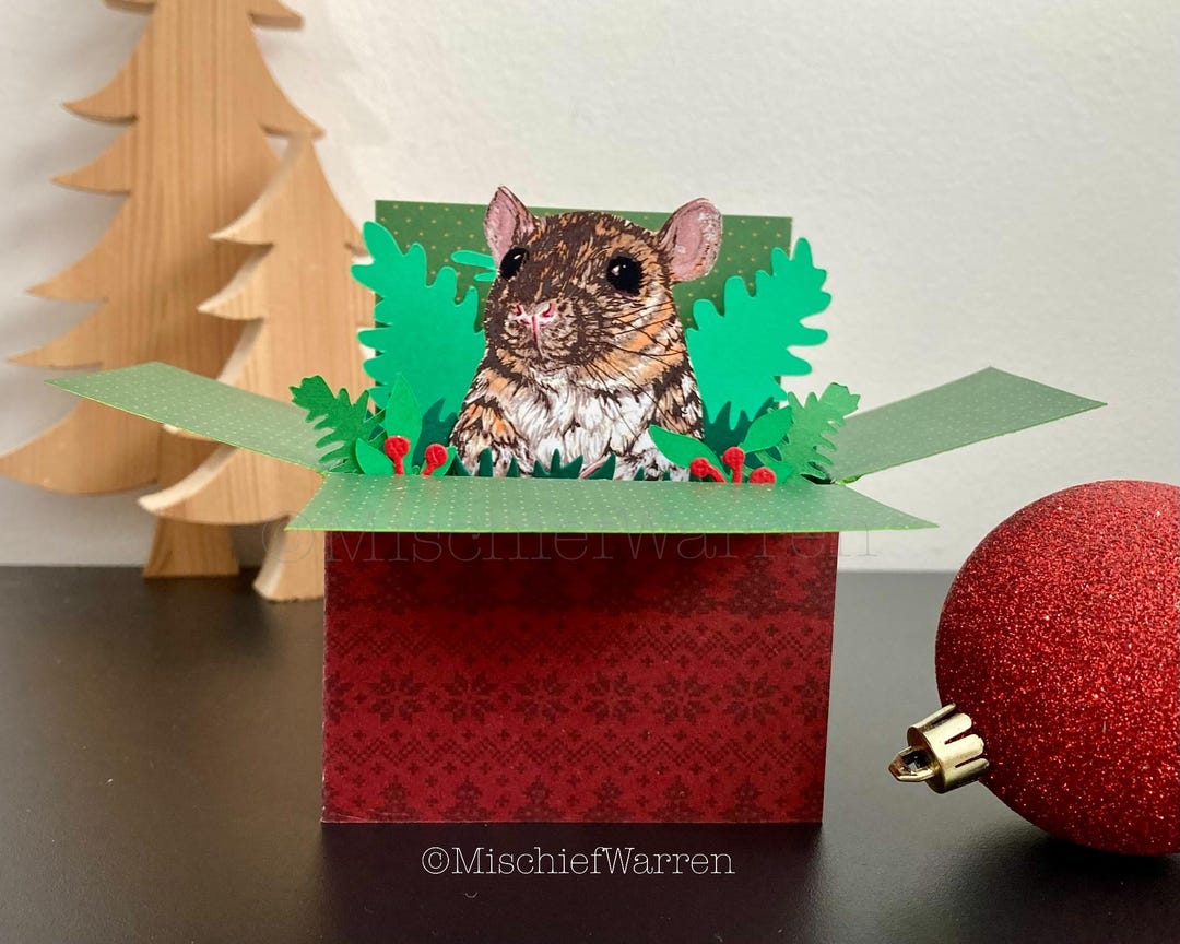 Rat Christmas Card. 3D Rat Box Card, Personalised. Christmas Gift Card ...