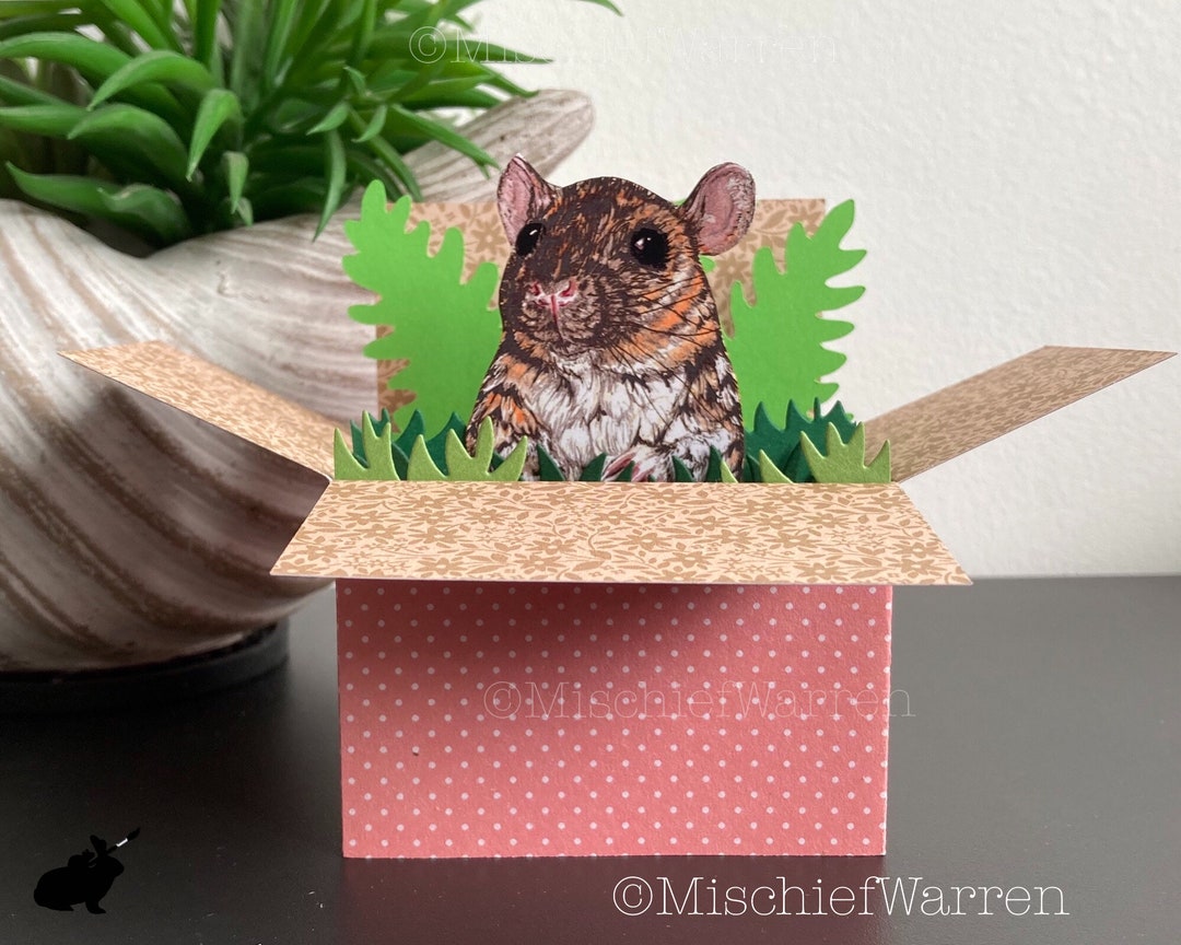 Rat 3D Box Card. Blank or Personalised Birthday, Easter, Mothers Day ...