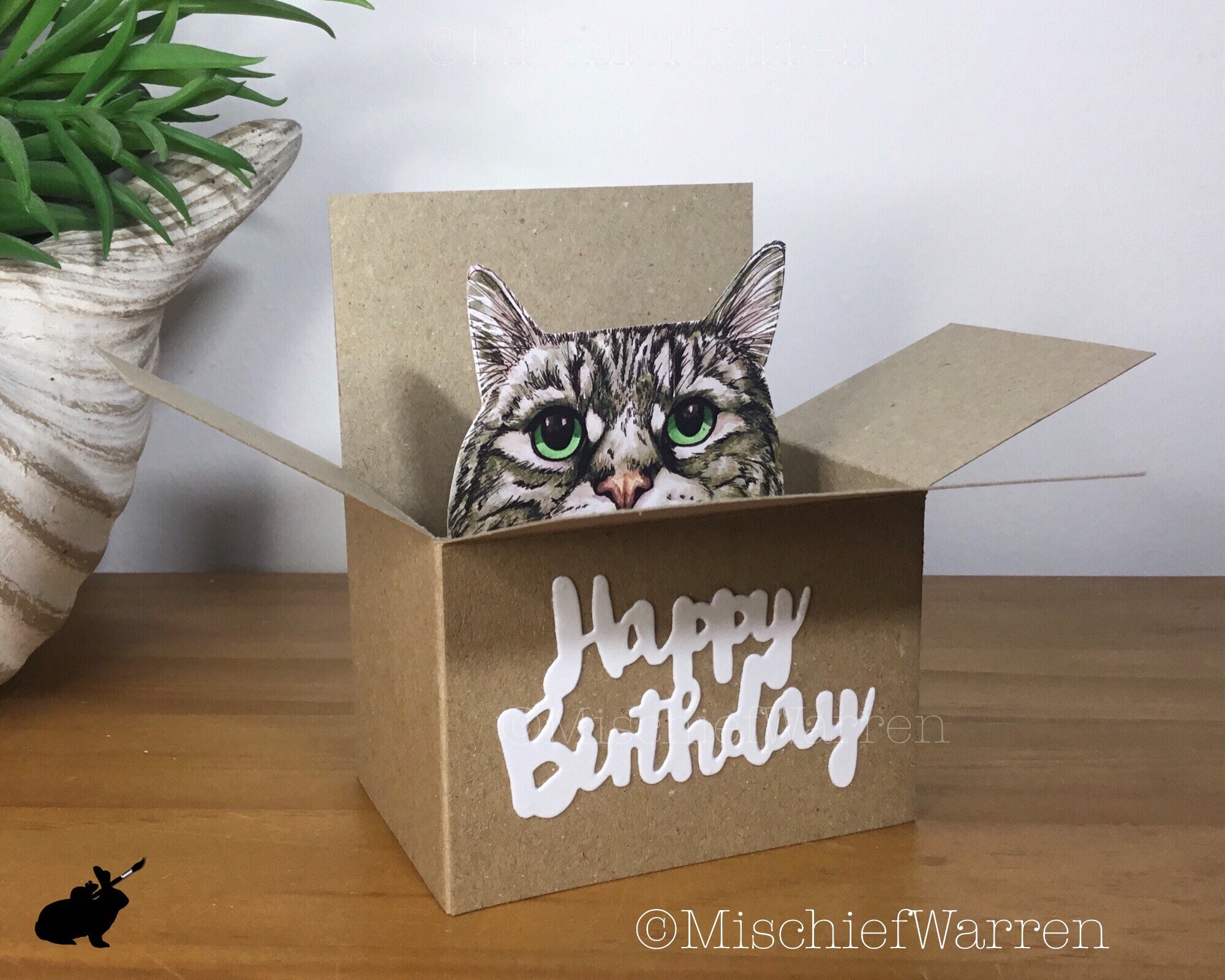 Tabby Cat Birthday Card. the Original Cat in a Box Card. Happy - Etsy UK