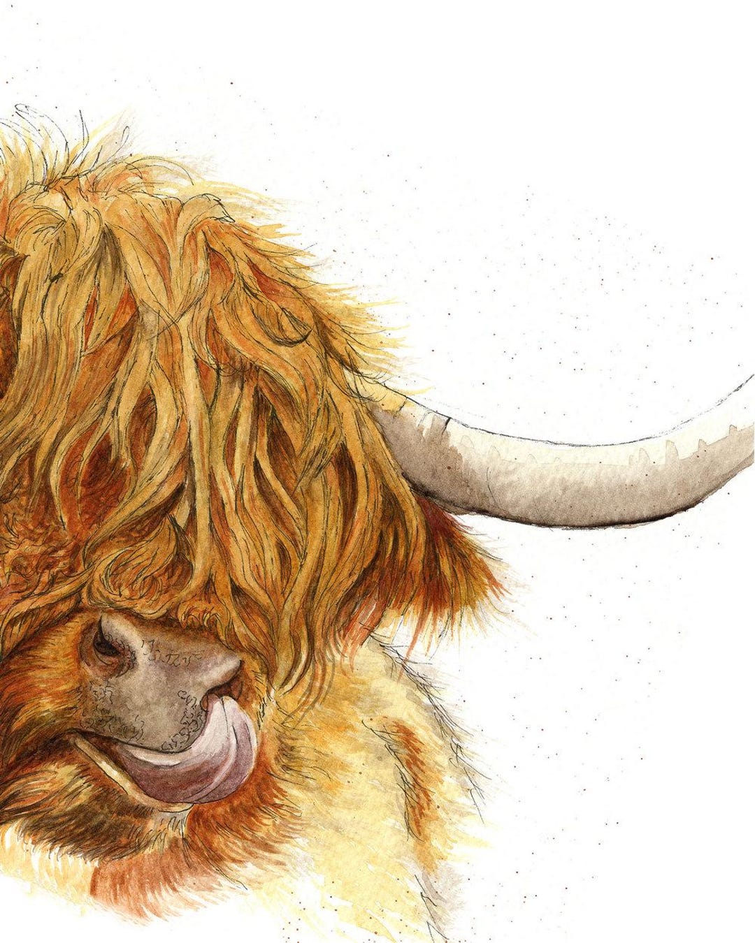 Highland Cow Art Print: Scottish Coo Watercolour Painting. A4 or 10x8 ...