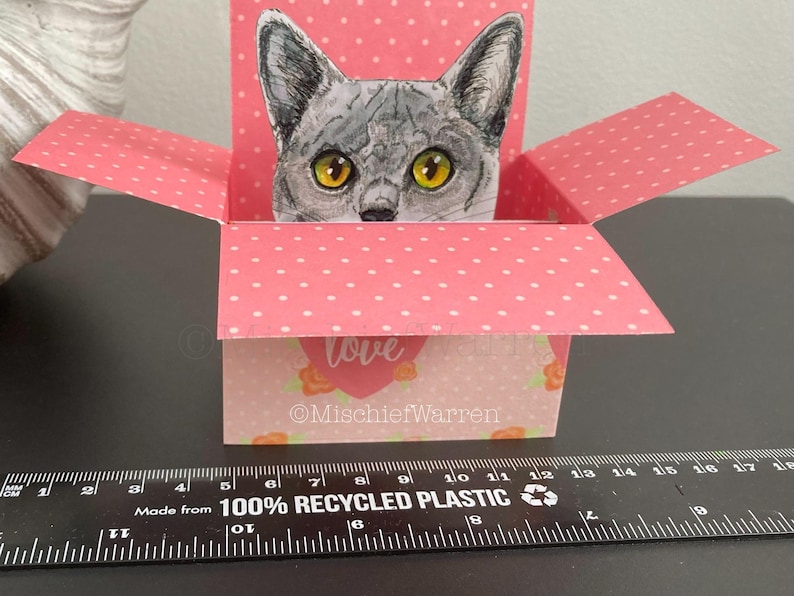 Personalised Grey Cat Card. Sending Love, 3D Gift Card Holder for Cat ...