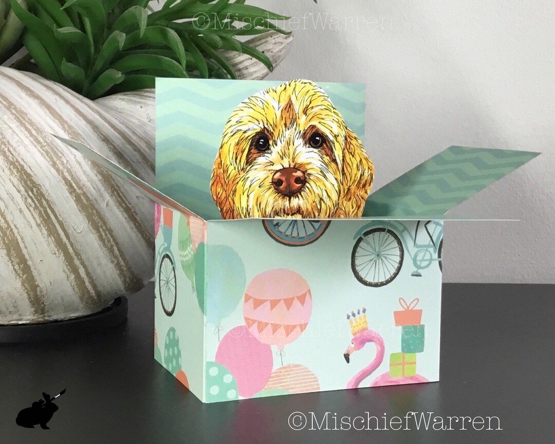 Gold Cockapoo Box Card. 3D Blank or Personalised Cockapoo - Etsy UK