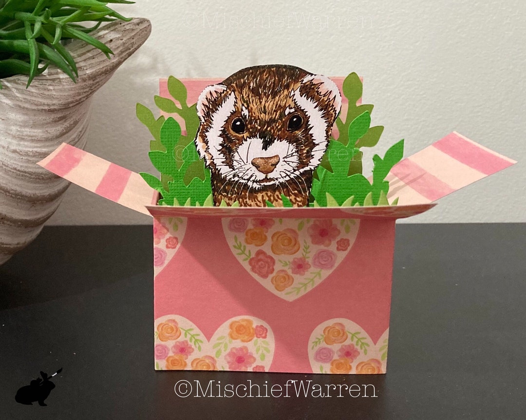 Polecat Ferret 3D Box Card. Blank or Personalised; Birthday, Easter ...