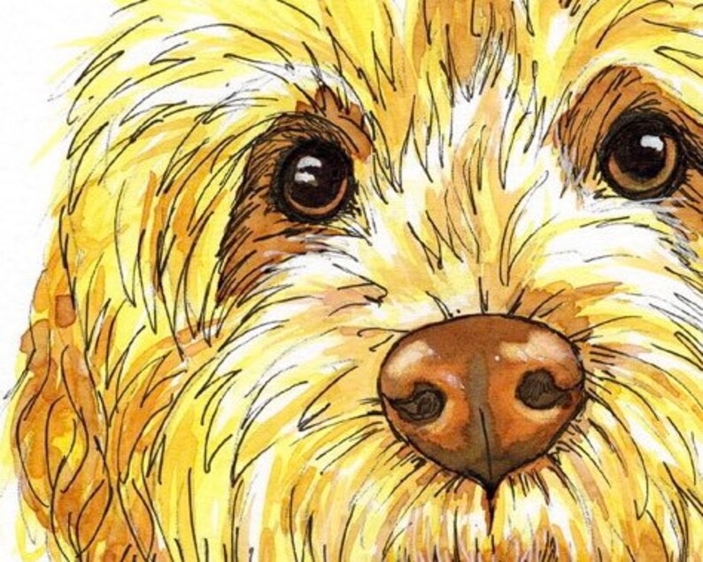 Gold Cockapoo or Labradoodle Dog Art Print From My Watercolour | Etsy UK