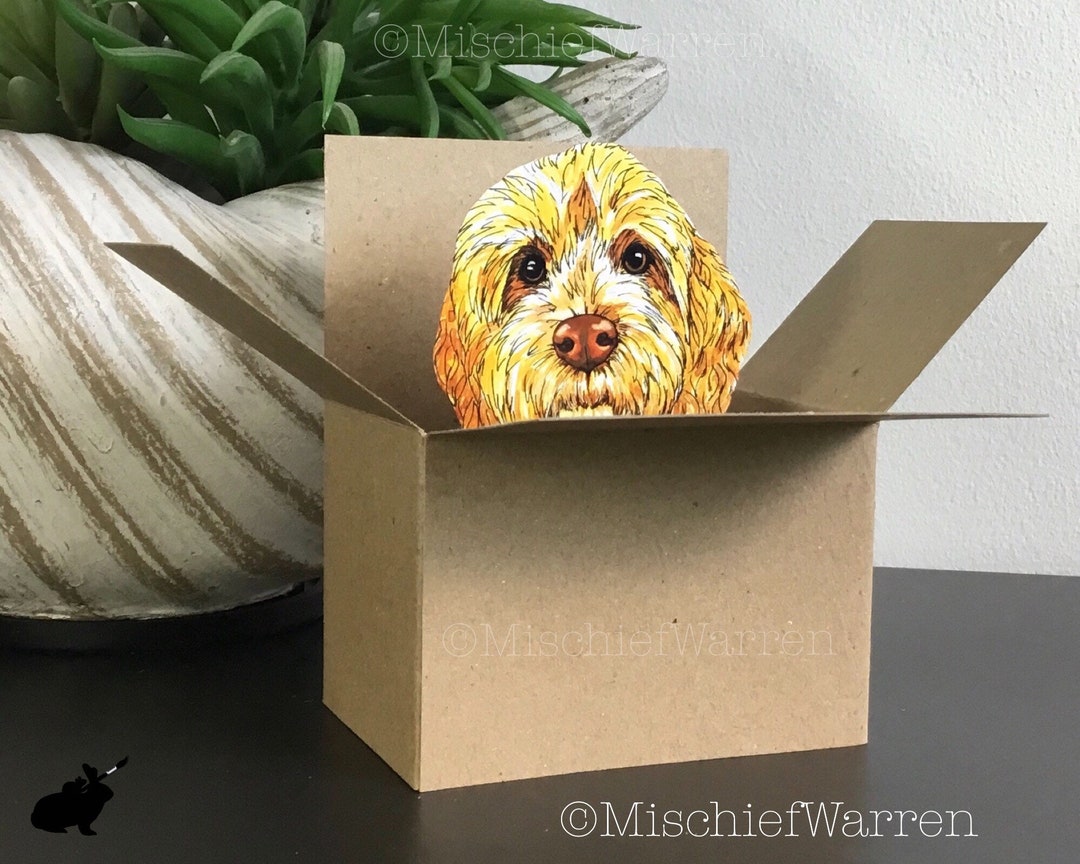 Gold Cockapoo Labradoodle Box Card. 3D Blank or Personalised Birthday ...