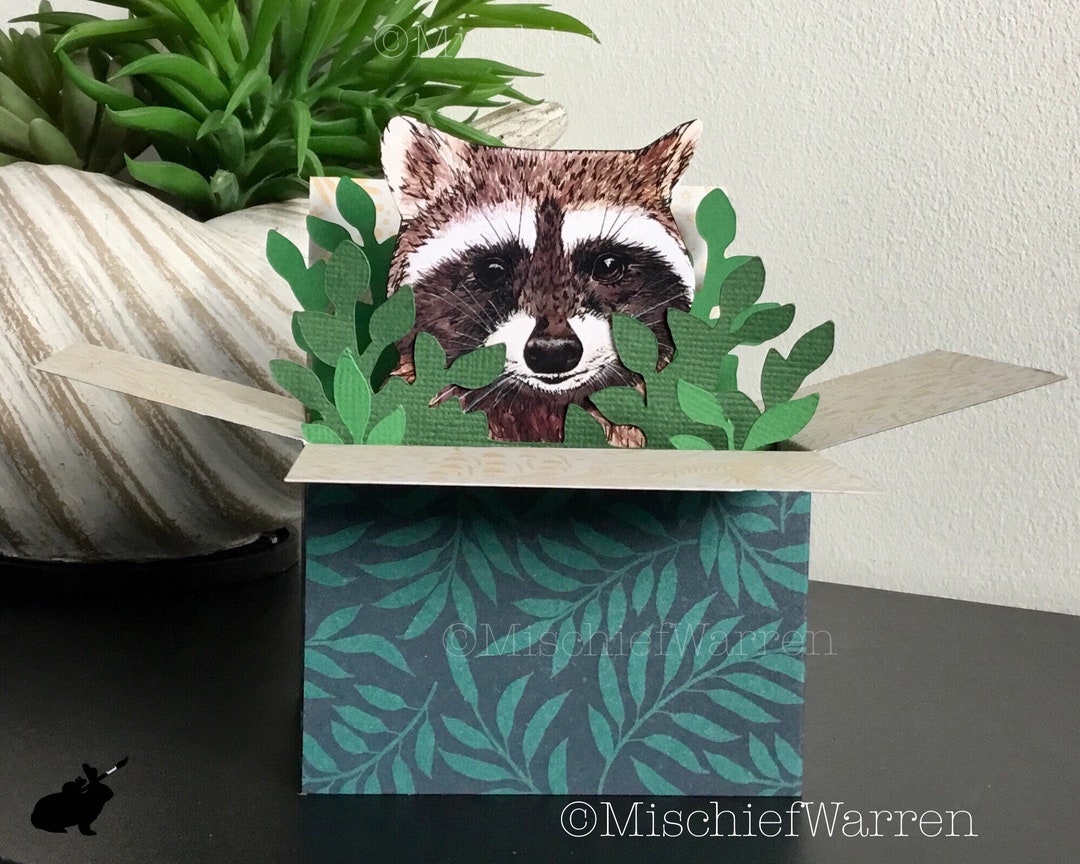 Raccoon 3D Box Card. Blank or Personalised for Any Occasion - Etsy