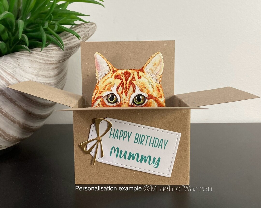 Ginger Cat Card. the Original Cat in a Box Card. Blank or Personalised ...