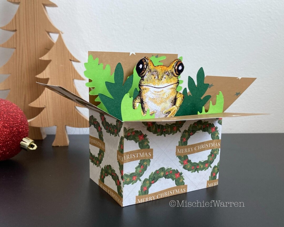 Frog Christmas Card. 3D Frog Box Card, Personalised. Christmas Gift ...