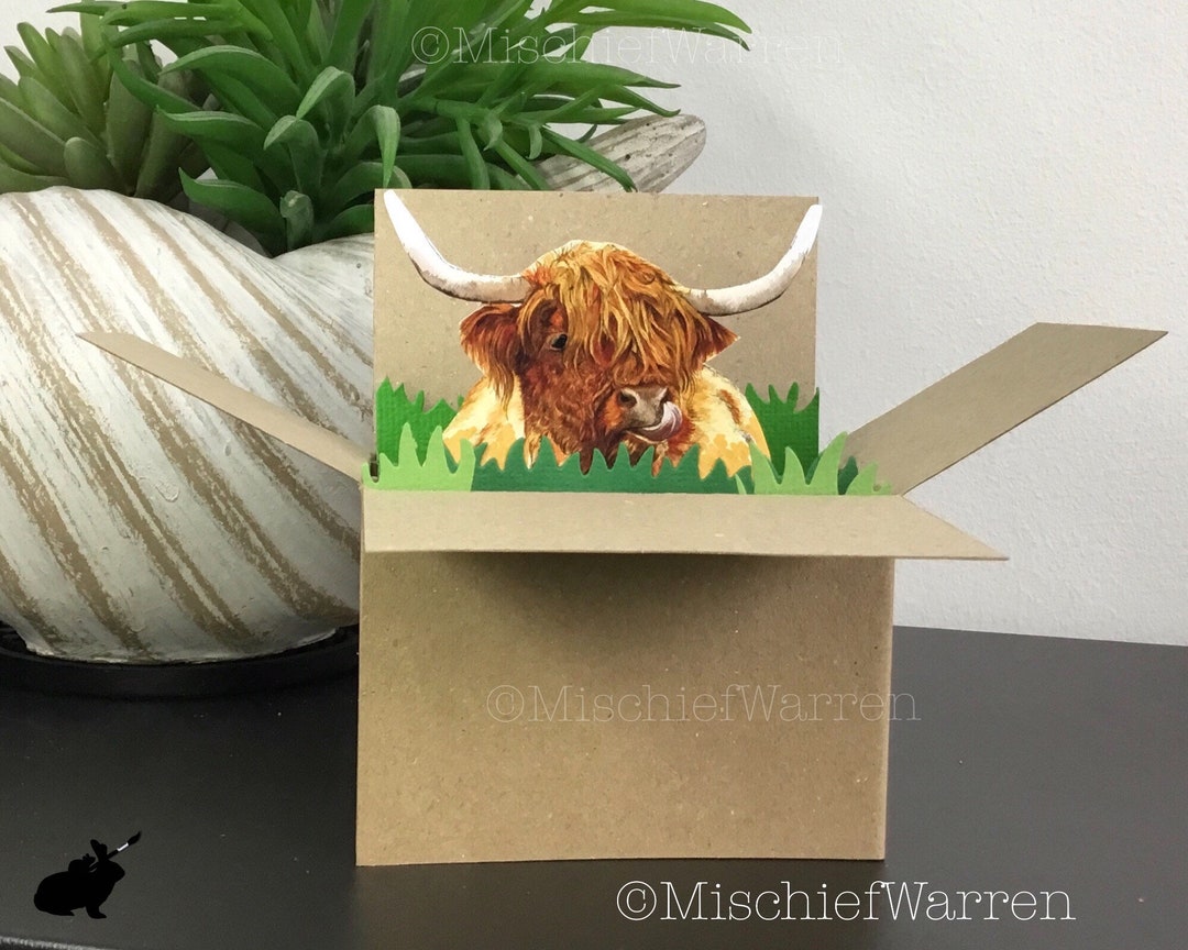 Highland Cow Box Card. 3D Personalised For Birthday, Easter, Mothers ...