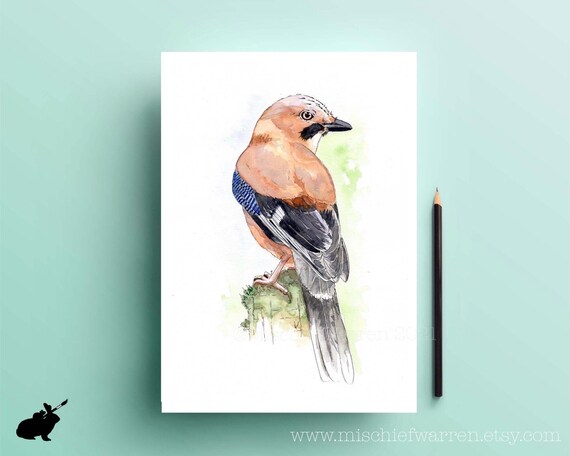 Eurasian Jay Watercolour Art Print From My Painting. British | Etsy