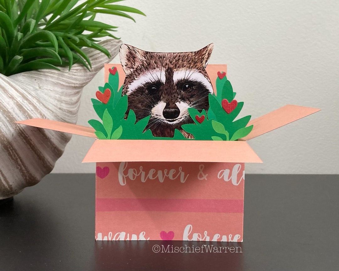 Raccoon Card. 3D Box Card for Valentines, Wedding, Anniversary Gift ...