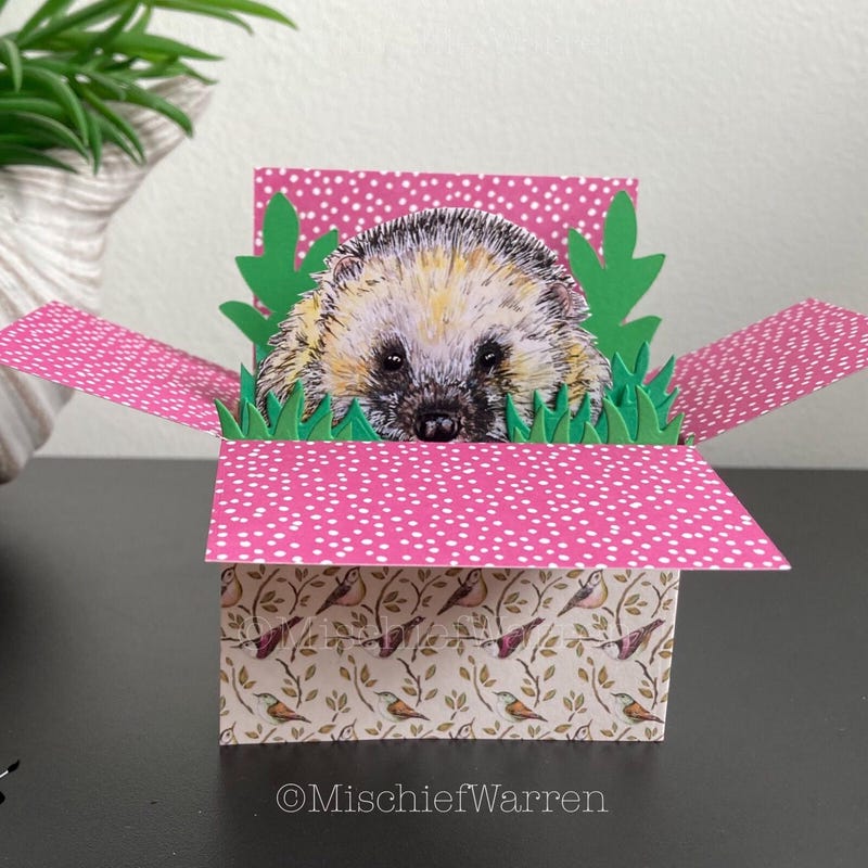 Hedgehog Cards - Etsy