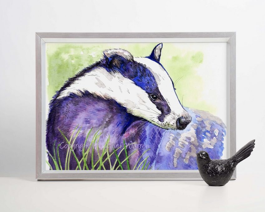 Badger Art Print from my watercolour painting. British | Etsy