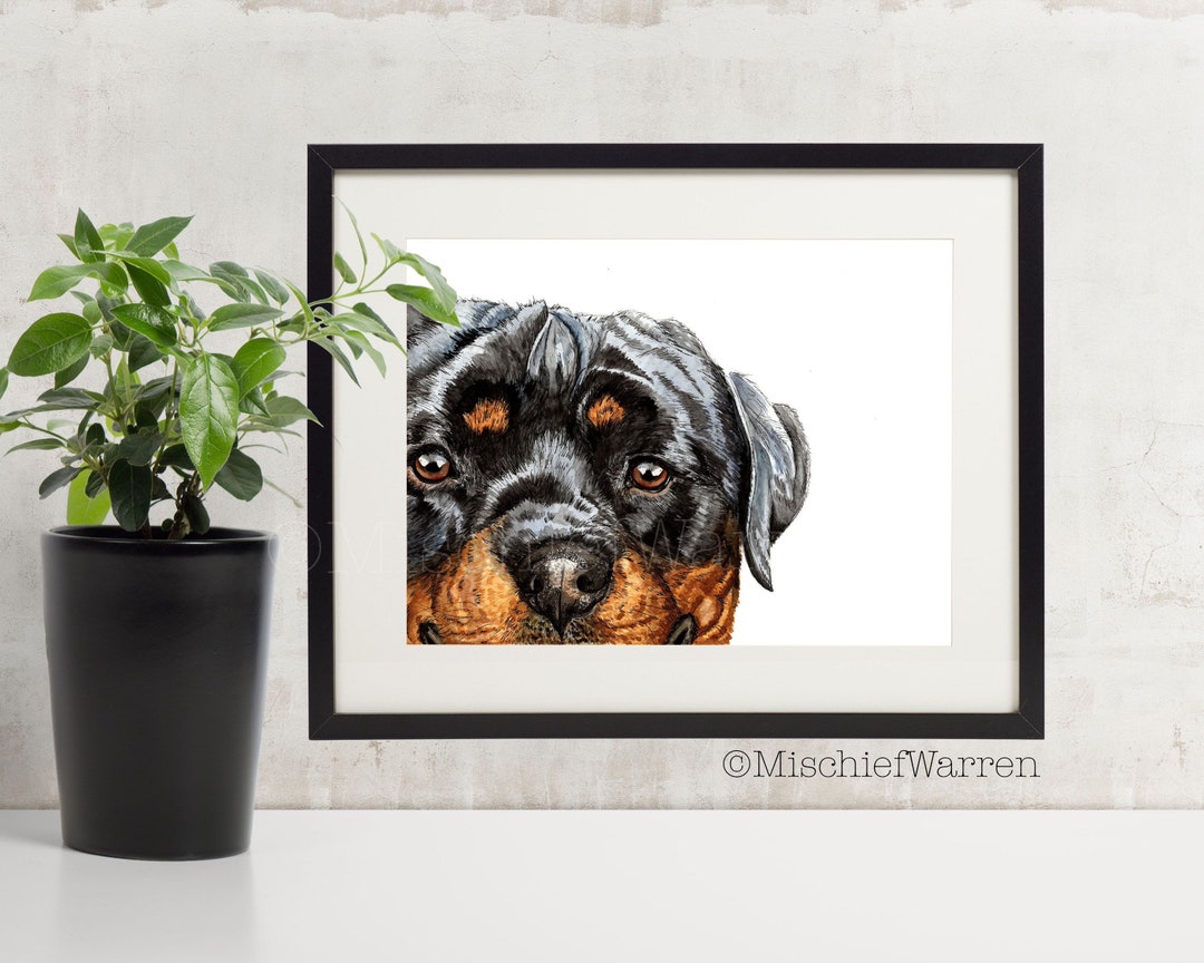 Rottweiler Dog Art Print From My Watercolour Painting. Picture Gift for ...