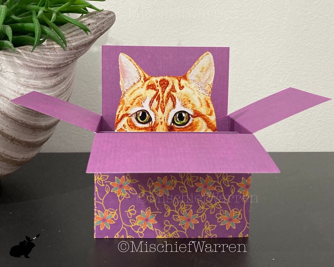 Ginger Cat Card. the Original Cat in a Box Card. Personalised 3D Box ...