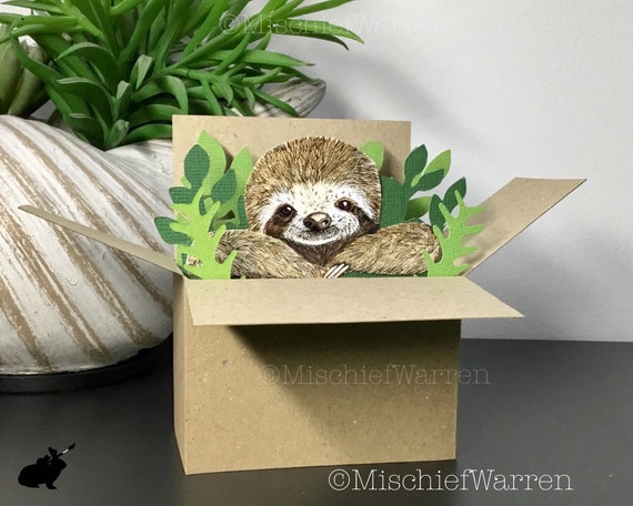 Sloth In A Box