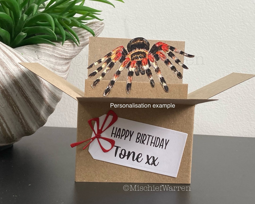 Tarantula Spider Box Card: Personalised 3D Gift Card Holder - Etsy