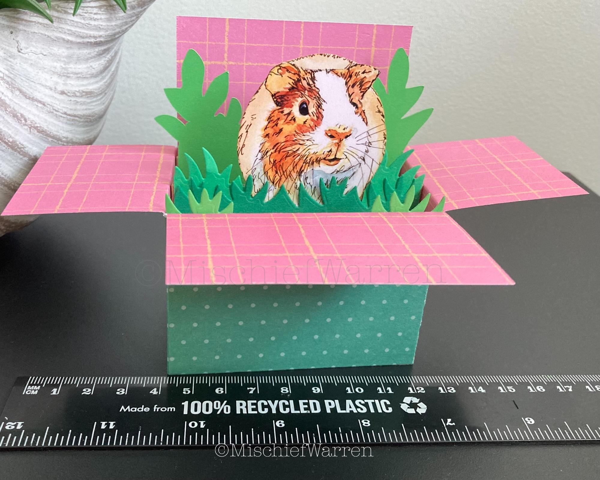 Guinea Pig "pop-up" Box Card: Personalised 3D Gift Card Holder - Etsy